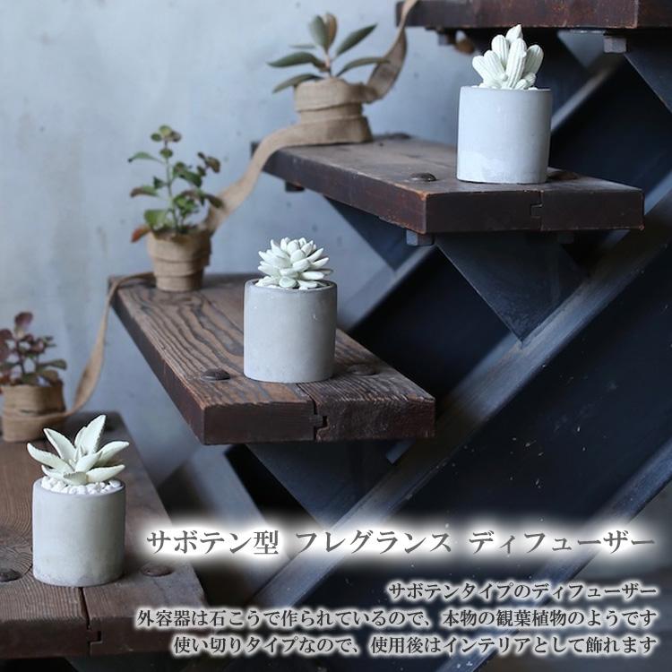 ダルトン フレグランス ディフューザー リトル ジェム カクタス アロエ G875-959 サボテン 多肉 ルームフレグランス アロマ 芳香剤 玄 : VICTORY from choice ...