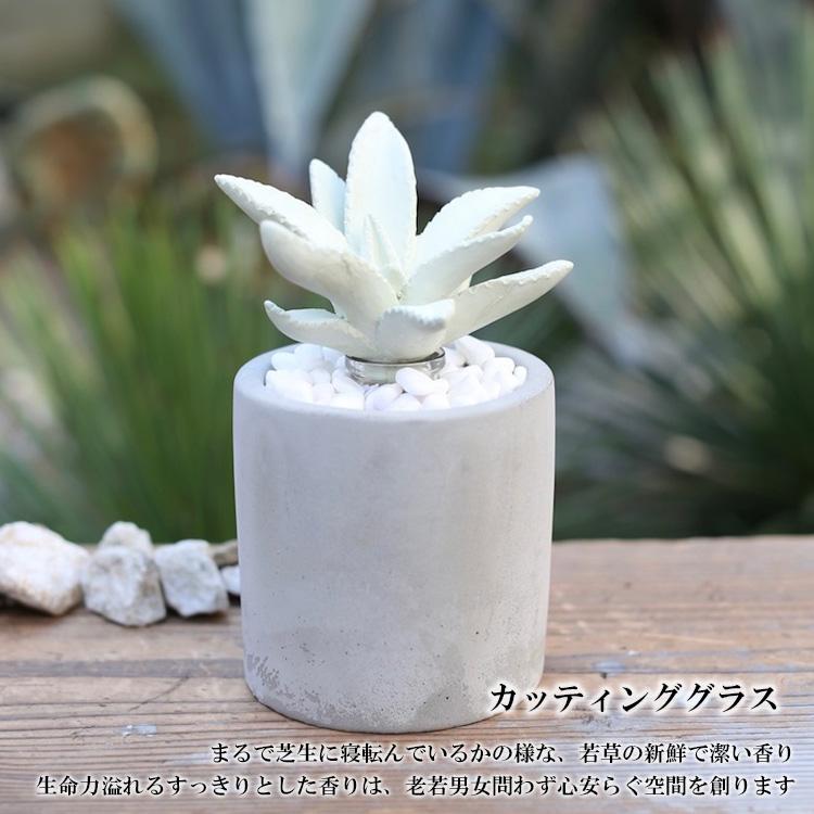 ダルトン フレグランス ディフューザー リトル ジェム カクタス アロエ G875-959 サボテン 多肉 ルームフレグランス アロマ 芳香剤 玄 : VICTORY from choice ...