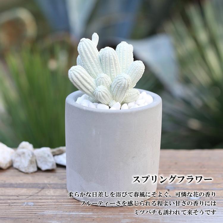 ダルトン フレグランス ディフューザー リトル ジェム カクタス アロエ G875-959 サボテン 多肉 ルームフレグランス アロマ 芳香剤 玄 : VICTORY from choice ...