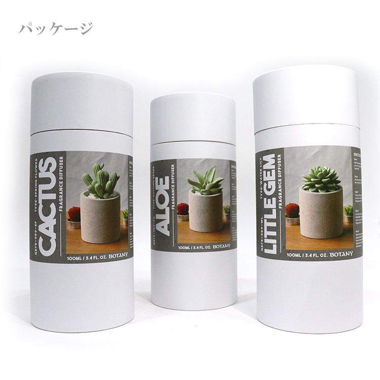 ダルトン フレグランス ディフューザー リトル ジェム カクタス アロエ G875-959 サボテン 多肉 ルームフレグランス アロマ 芳香剤 玄 : VICTORY from choice ...