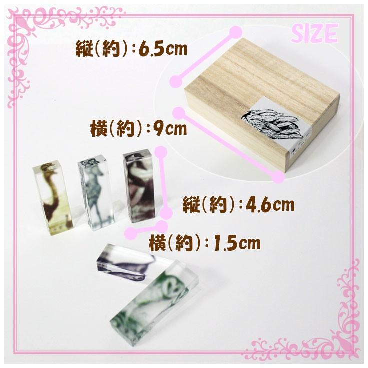 【メール便送料無料】 toumei ピクトリアル bird hashioki 箸置き キッチン 雑貨 アニマル 動物 ダチョウ カワガラス ...