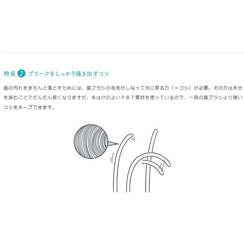 Oral Care マミー17（仕上げ磨き用） 歯ブラシ 5本 毛のかたさS オーラルケア チェックアップこどもミニサイズおまけ付き : 口腔ケア専門店ビグザック1450ppmF - 通販 ...