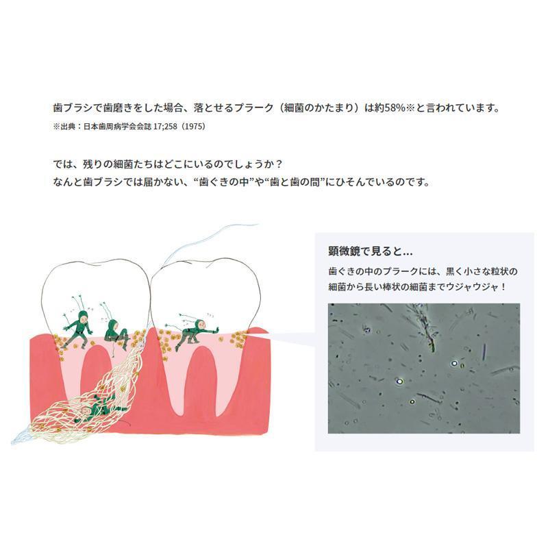 Oral Care 在庫限り！！ オーラルケア フロアフロス 250m 【本体250m ＋ 詰め替え250m】 : 口腔ケア専門店ビグザック1450ppmF - 通販 - Yahoo!ショッピング