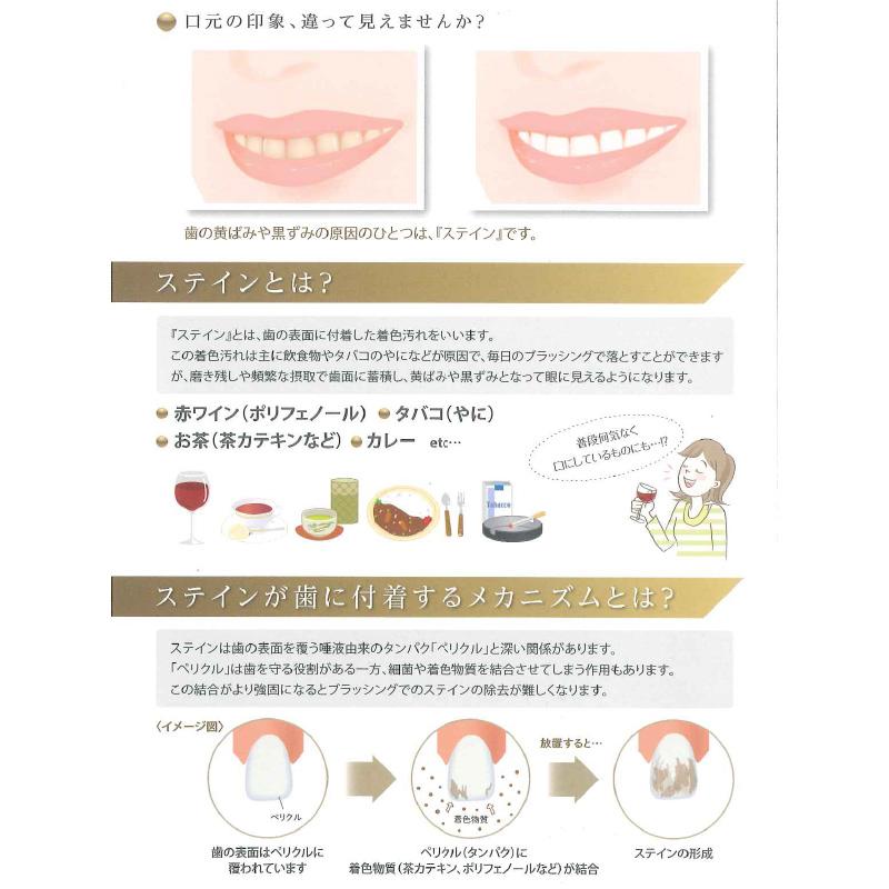 ルシェロ（ジーシー） GC ジーシー ルシェロ 歯みがきペースト ホワイト 110g 6本セット オマケミニサイズ【ホワイトプレミアムケア1本付き】 : 口腔ケア専門店ビグザック ...