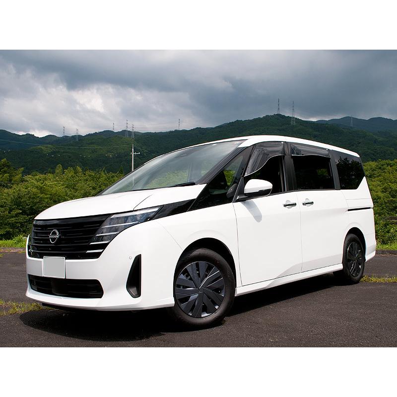 【ZOO PROJECT/ズープロジェクト】 OX VISOR BLACKY-X フロント用 ニッサン セレナ C28/NC28/GC28 ...