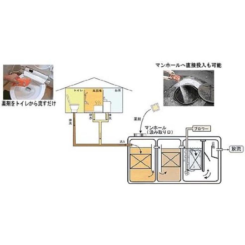 業務用ケース販売 浄化槽無臭元 630g 入数20箱 : アップヴィレッジ - 通販 - Yahoo!ショッピング
