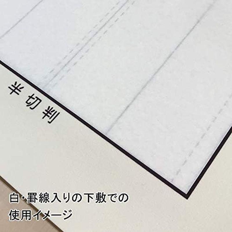 あかしや 画仙紙 湖山 10枚入り AO-70H : アップヴィレッジ - 通販 - Yahoo!ショッピング