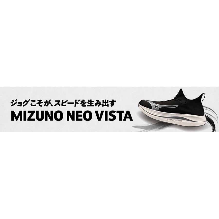 MIZUNO（ミズノ） 2E幅 メンズ レディース ネオビスタ NEO VISTA