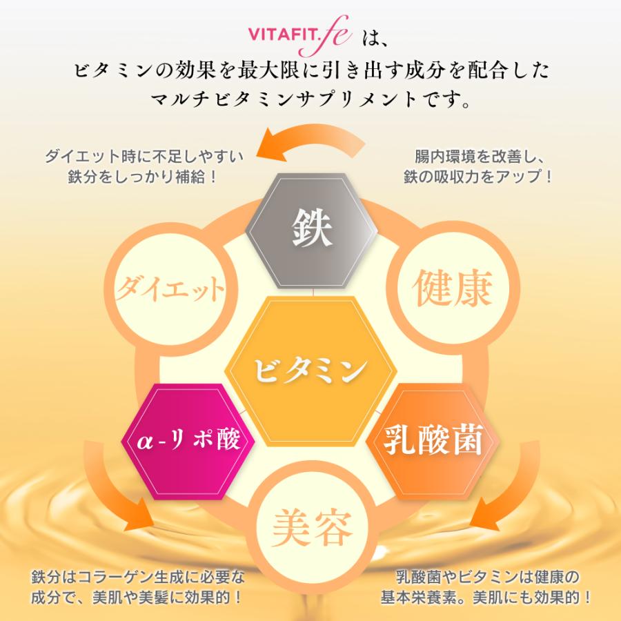 マルチビタミン VITAFIT 120粒 鉄 葉酸 サプリ 栄養機能食品 ダイエット ビタパワー 日本製 VITAS バイタス 公式 ビタ ...