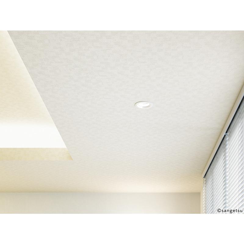 サンゲツ（SANGETSU） FE76496 壁紙 ホワイト系 ルームエアー 消臭 天井 賃貸 補修 おしゃれ 壁紙貼り替え リフォーム のりなし ファイン : ビバ建材通販 職人工房 ...