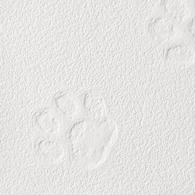 サンゲツ RE55858 壁紙 リザーブ のりなし のり付き クロス : ビバ建材通販 職人工房 - 通販 - Yahoo!ショッピング