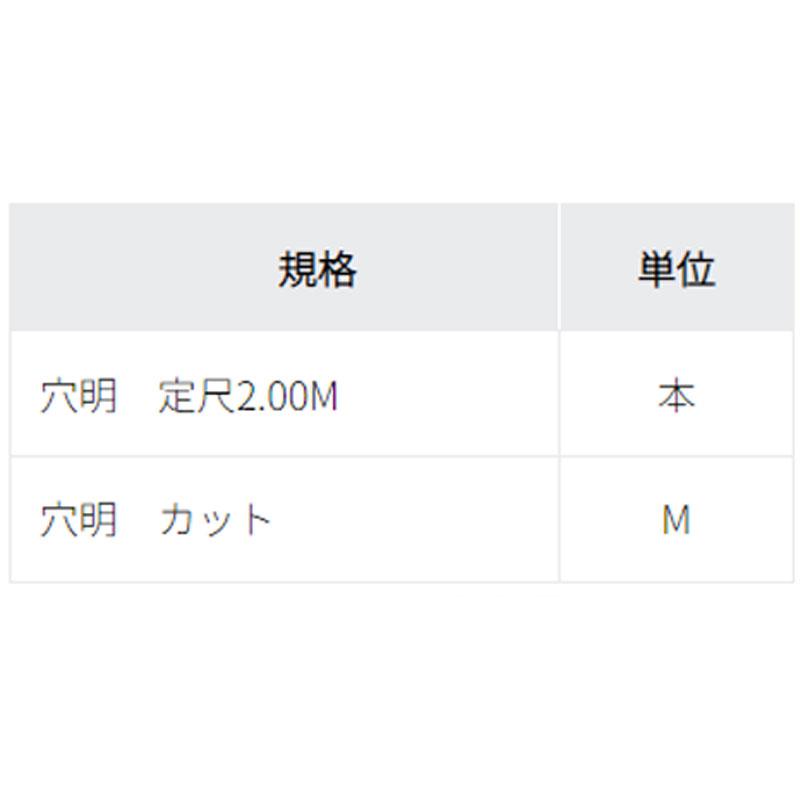 20-307 穴有 定尺2.00M 本売り アシスト 現場配送不可 : ビバ建材通販 DIY店 - 通販 - Yahoo!ショッピング