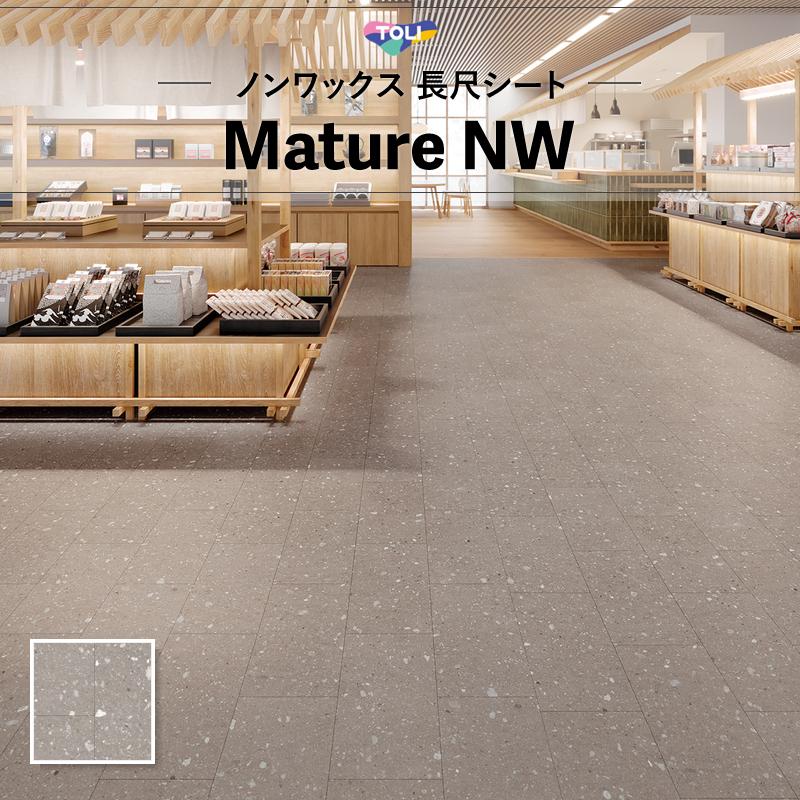 FS4253 長尺シート 土足対応 東リ マチュアNW 2mm厚 182cm巾 石目 ストーン 札幌軟石 : fs4253 : ビバ建材通販 DIY店 - 通販 - Yahoo!ショッピング