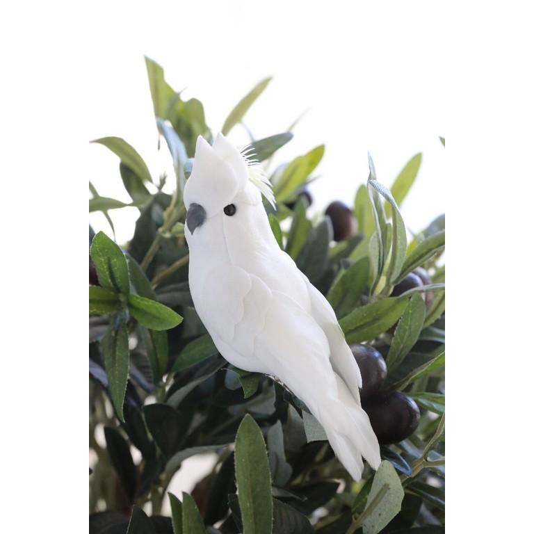 コカットゥ・アルバ 12セット GM-09 コベントガーデン : ビバ建材通販 DIY店 - 通販 - Yahoo!ショッピング