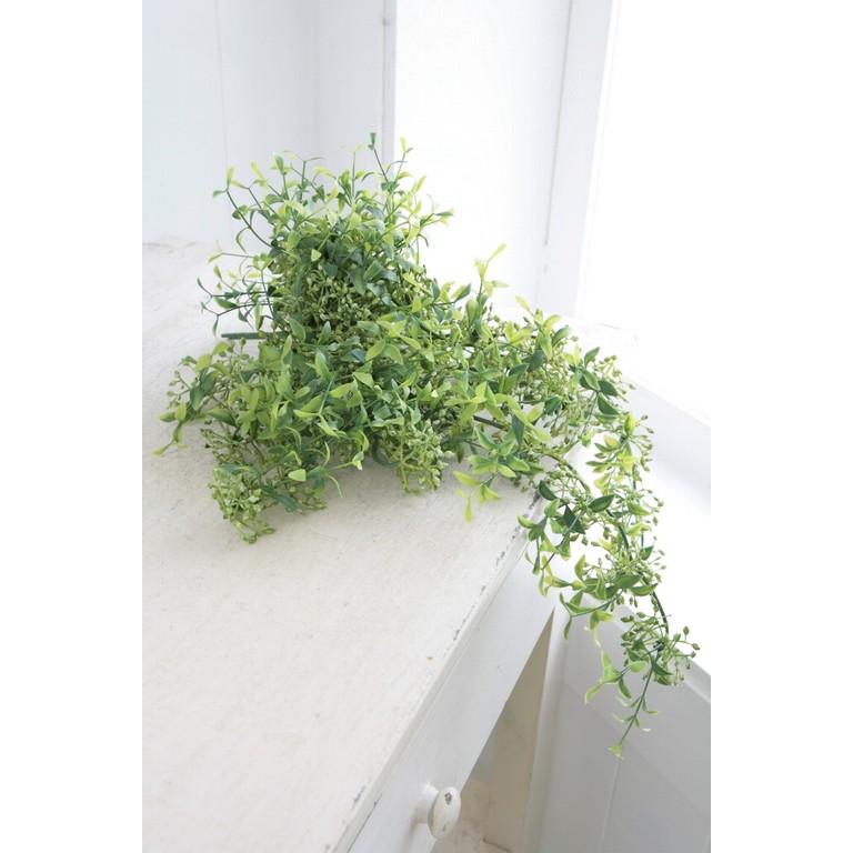 グリーンブッシュ 4セット LD-15 コベントガーデン : ld-15 : ビバ建材通販 DIY店 - 通販 - Yahoo!ショッピング