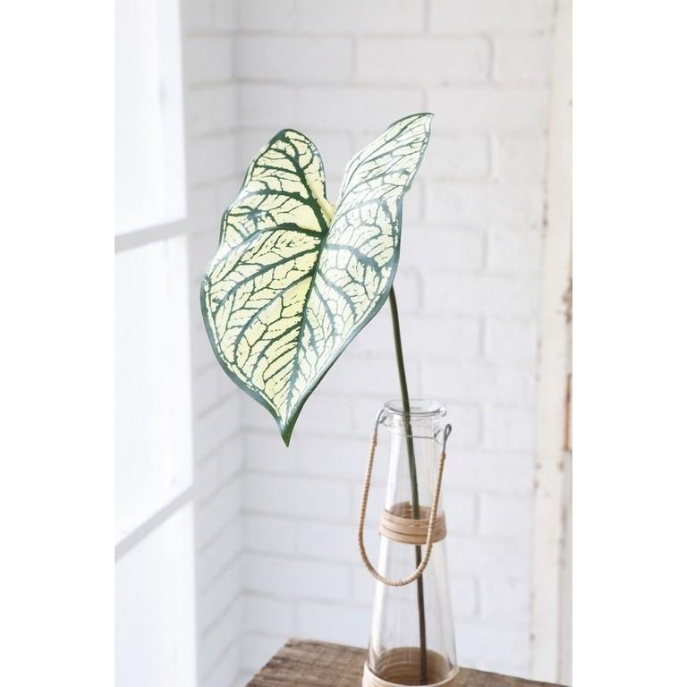 カラジュームリーフ 6セット OP-04 コベントガーデン : op-04 : ビバ建材通販 DIY店 - 通販 - Yahoo!ショッピング