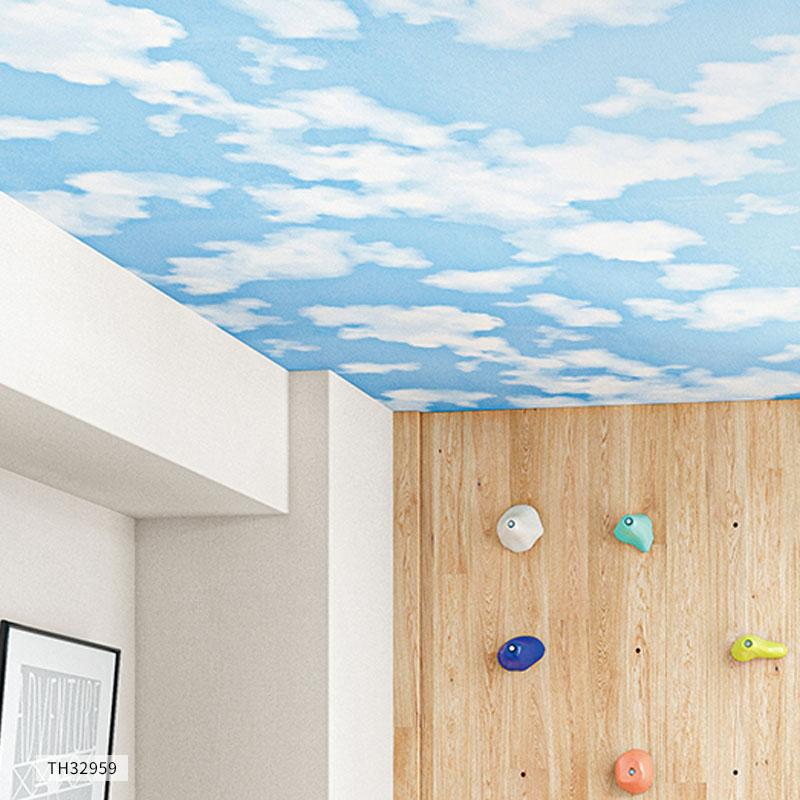 サンゲツ 壁紙 おしゃれ DIY 貼替 リフォーム キッズ プライベート ワークスペース リビング トイレ 天井 表面強化 青空 雲 のりなし フェイス TH32959 : ビバ建材通販 ...