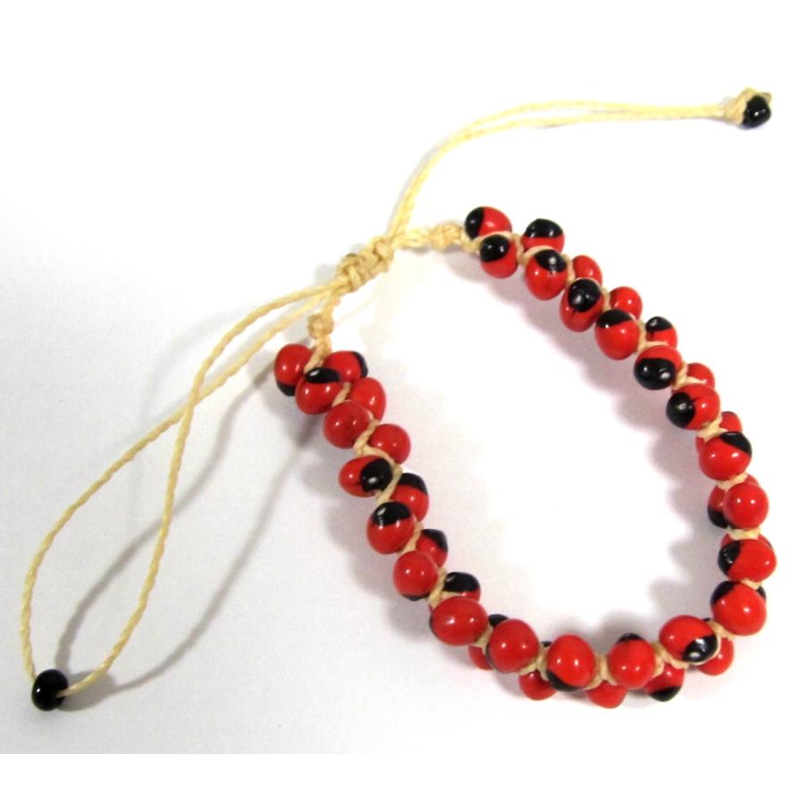 【HUAIRURO BRASELET】ワイルーロの実 ブレスレット ワックスコード使用 南米ペルーのお守り : VIVAS LATIN ...