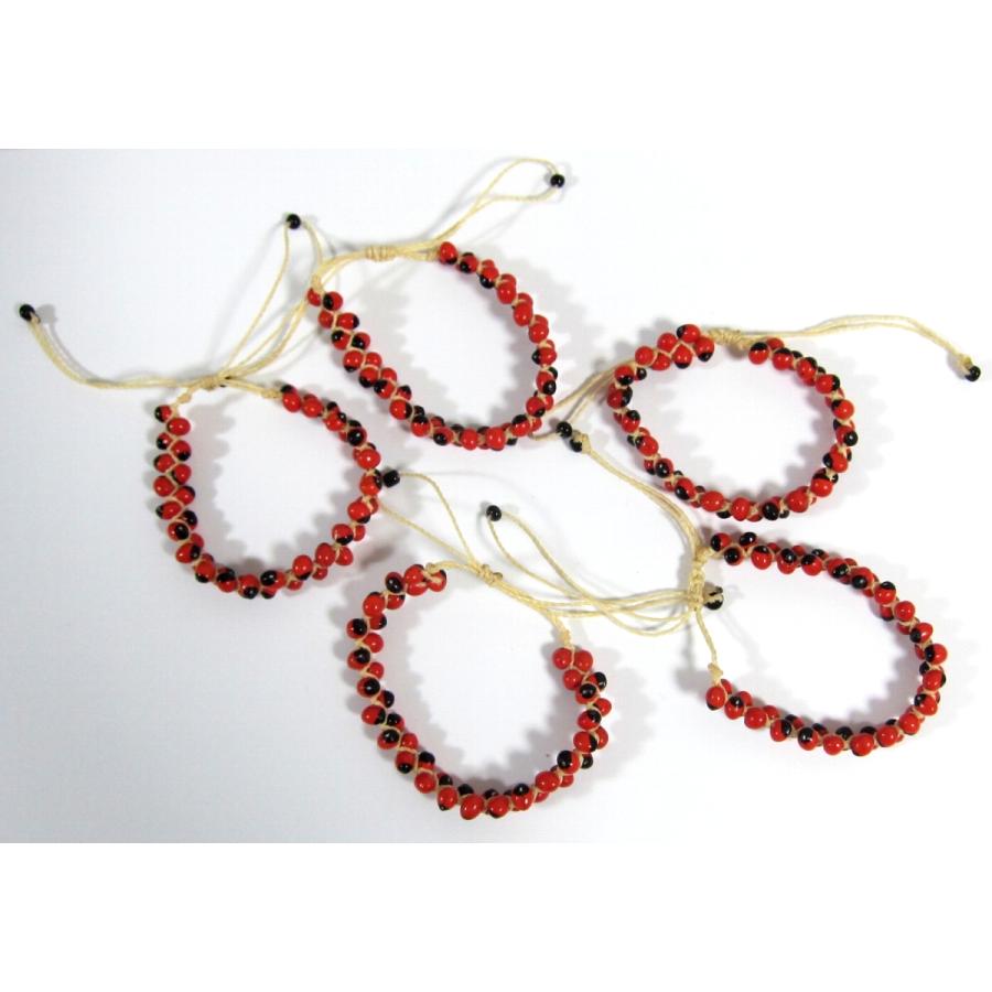 【HUAIRURO BRASELET】ワイルーロの実 ブレスレット ワックスコード使用 南米ペルーのお守り : VIVAS LATIN ...