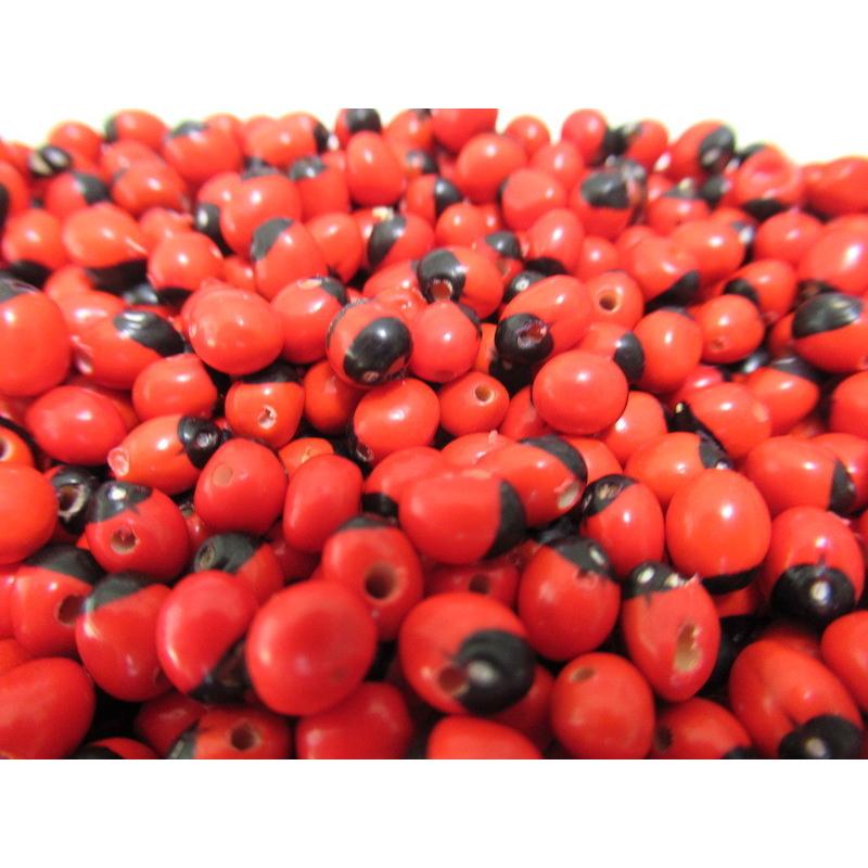 【HUAIRURO BEADS 100g】【ワイルーロの実ビーズ】【穴あり】南米ペルーのお守り ワイルーロの実 少量 オス（極小粒）100g ...