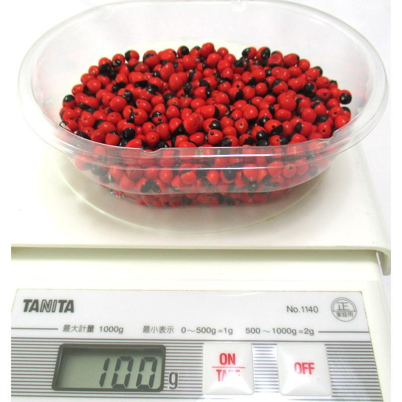 【HUAIRURO BEADS 100g】【ワイルーロの実ビーズ】【穴あり】南米ペルーのお守り ワイルーロの実 少量 オス（極小粒）100g ...
