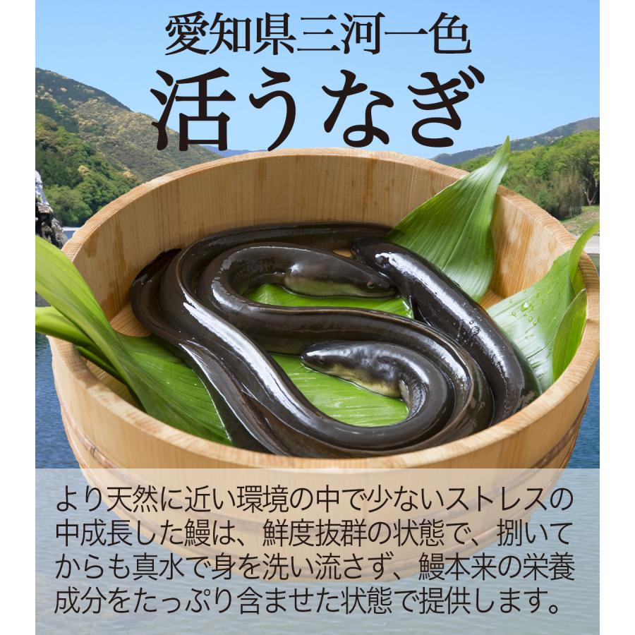 うなぎ 国産 きざみ 70g×10 蒲焼き 炭火焼き 愛知県 鰻 カット 刻み 訳あり : VIVIDLIFE 食品通販 ヤフー店 - 通販 - Yahoo!ショッピング