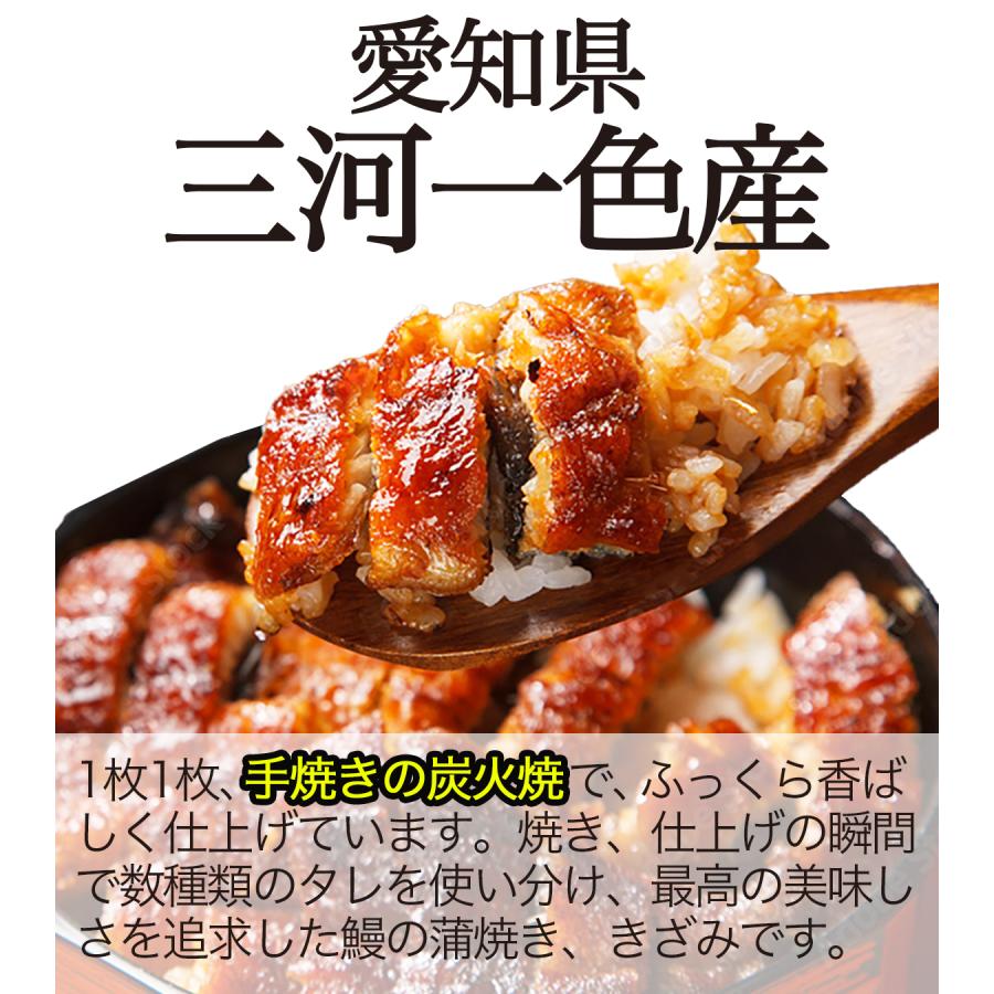 うなぎ 国産 きざみ 70g×20 蒲焼き 炭火焼き 愛知県 鰻 カット 訳あり 刻み : VIVIDLIFE 食品通販 ヤフー店 - 通販 - Yahoo!ショッピング