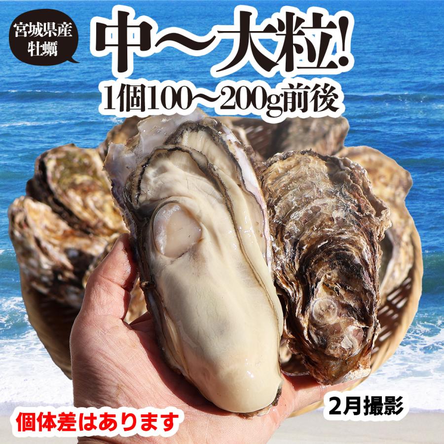 牡蠣 殻付き 3kg 15〜24個 加熱用 かき カキ 生牡蠣 宮城県産 三陸 大粒 中粒 バーベキュー bbq 海鮮 : VIVIDLIFE 食品通販 ヤフー店 - 通販 - Yahoo ...