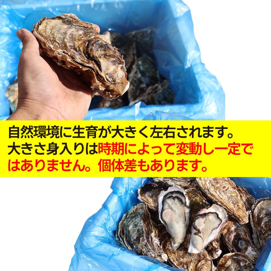 牡蠣 殻付き 3kg 15〜24個 加熱用 かき カキ 生牡蠣 宮城県産 三陸 大粒 中粒 バーベキュー bbq 海鮮 : VIVIDLIFE 食品通販 ヤフー店 - 通販 - Yahoo ...