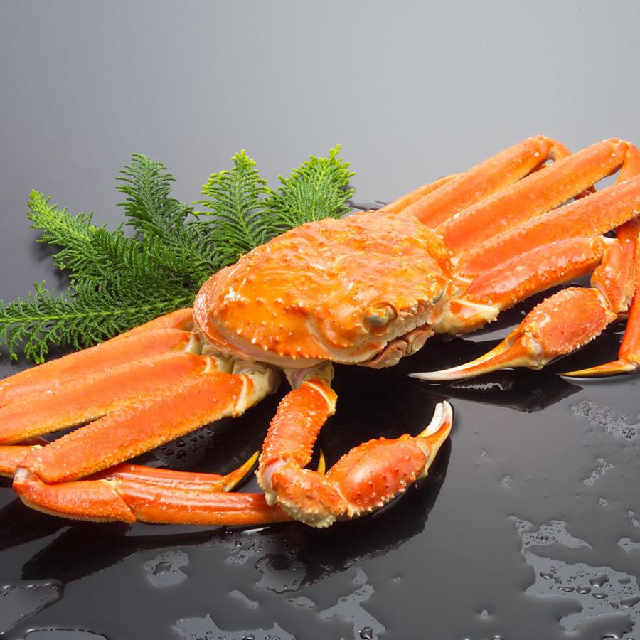 ボイルずわいがに姿 450gx1杯 爆買 : ヴィージェイストア ヤフー店 - 通販 - Yahoo!ショッピング