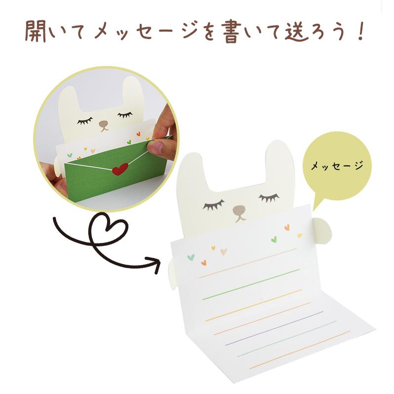 メッセージ カード アニマル どうぶつ カード カード グリーティングカード バースデーカード メッセージ 誕生日カード レターセット 封筒 ...
