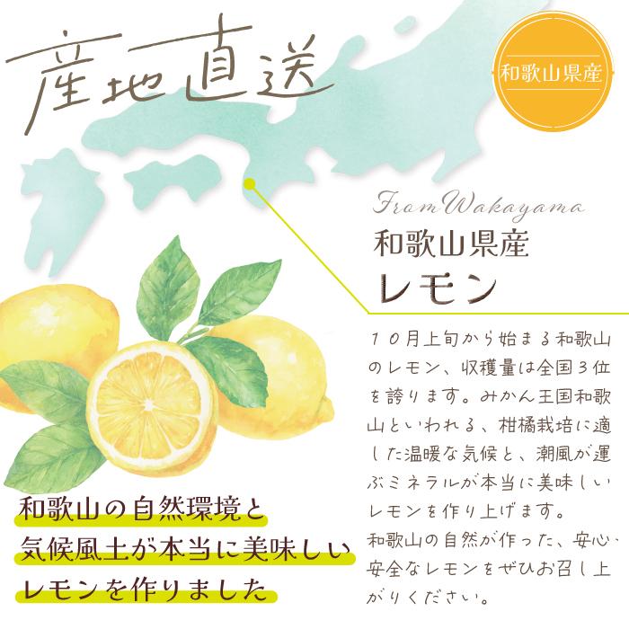 国産グリーンレモン【 サイズ混合 2kg 】送料無料 防腐剤 防カビ剤 不使用 M L 2L 国産 レモン れもん 檸檬 グリーンレモン 和歌山 シトラスガーデン 訳あり : 和歌山シトラス ...