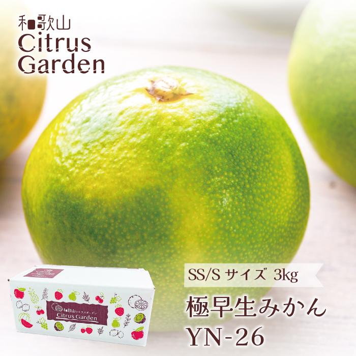 極早生みかん YN26【 SS/Sサイズ 3kg 】送料無料 和歌山 紀南 温州 みかん 小粒 SS S 小玉 糖度 濃厚 家庭用 シトラスガーデン : 和歌山シトラスガーデン - 通販 ...