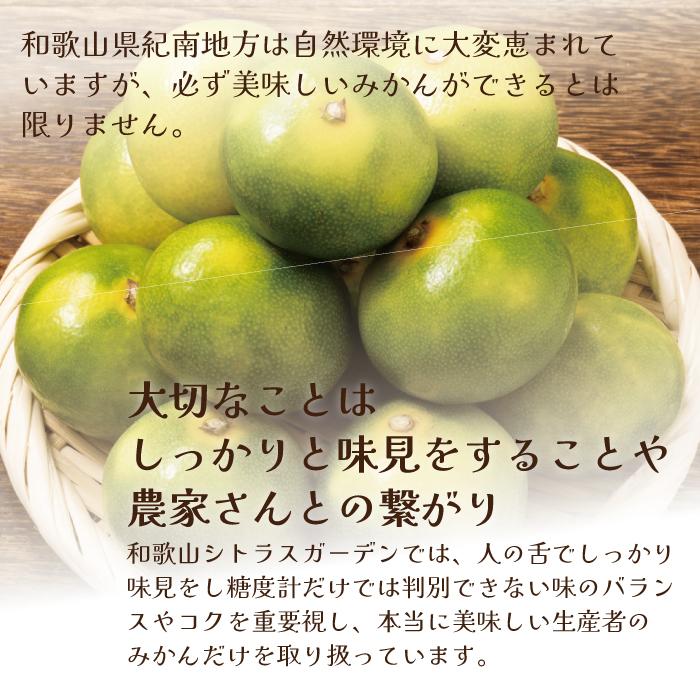 極早生みかん YN26【 SS/Sサイズ 3kg 】送料無料 和歌山 紀南 温州 みかん 小粒 SS S 小玉 糖度 濃厚 家庭用 シトラスガーデン : 和歌山シトラスガーデン - 通販 ...