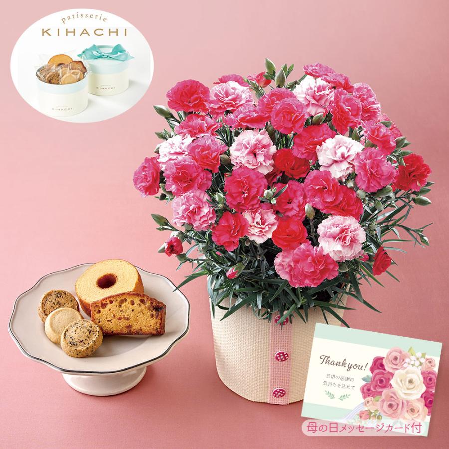母の日 2025 早割 ポイント10倍 ギフト プレゼント カーネーション さくらもなか と「パティスリー キハチ」アソート BOX フラワーギフト 花_81032 おすすめ : わが街とく ...