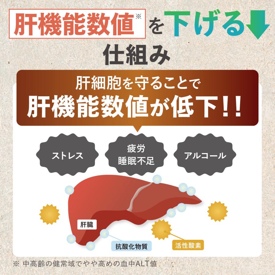 肝機能 サプリ 肝臓 スルフォラファン ギャバ gyaba alt値 γ-gtp 疲労 睡眠 スルフォラファン&ギャバの恵み ブロッコリー ...
