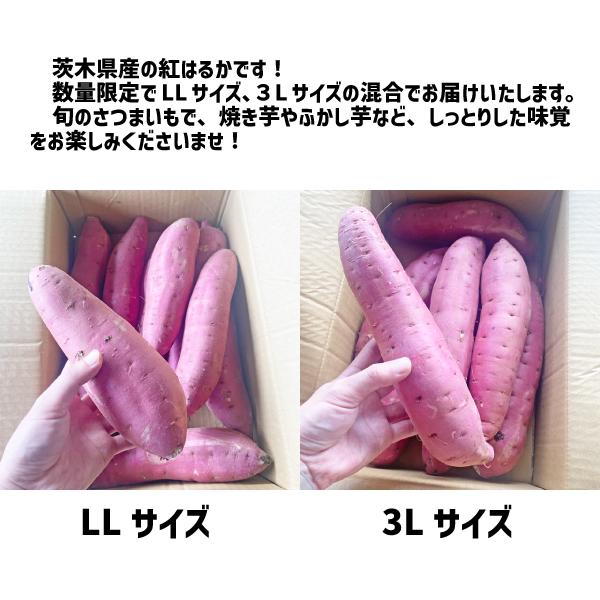 茨城県産 紅はるか 約4kg M〜3Lサイズ さつまいも サツマイモ 焼き芋 スイートポテト : 和歌山卸売市場どっとこむ - 通販 - Yahoo!ショッピング
