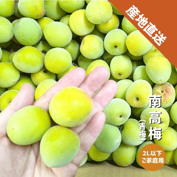 【5月中下旬発送】 南高梅 2L以下 1〜10kg 青梅 梅シロップ 梅酒 和歌山県産 : 和歌山卸売市場どっとこむ - 通販 - Yahoo!ショッピング