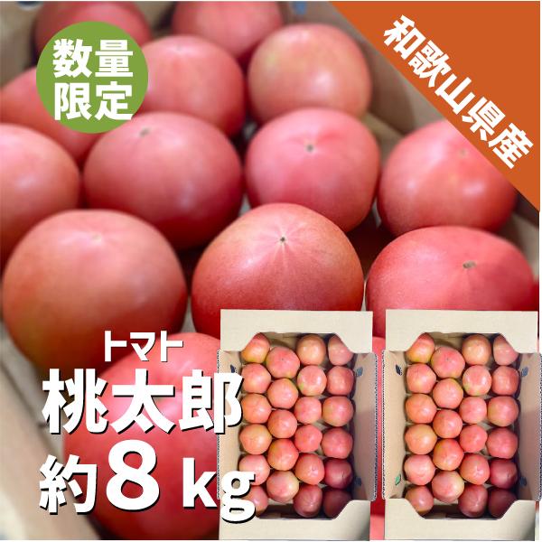 和歌山県産 トマト 桃太郎 約8kg M〜3Lサイズ 数量限定 4kg × 2箱 : 和歌山卸売市場どっとこむ - 通販 - Yahoo!ショッピング