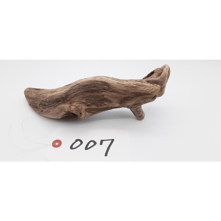 流木 アクアリウム インテリア 昆虫飼育 水槽に最適 送料無料 最大サイズ 25cm×8cm×9cm : 秋田からの贈りもの - 通販 - Yahoo!ショッピング