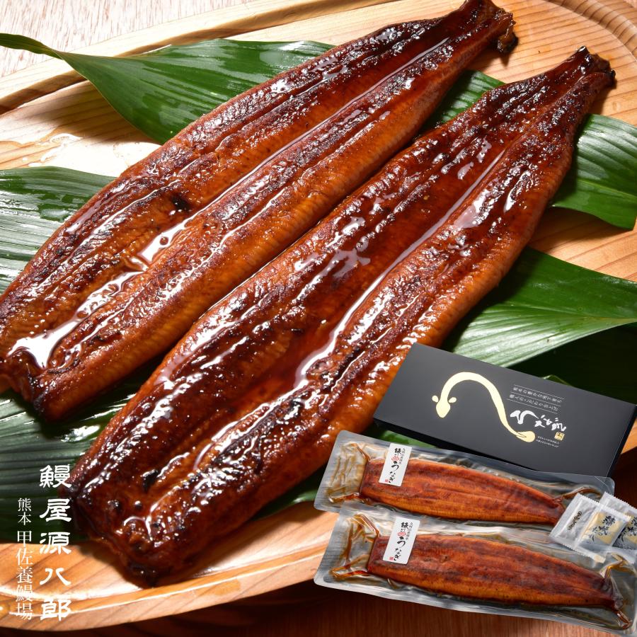 うなぎ 蒲焼 国産 うなぎの蒲焼き 特大 280g 2尾セット くまもと産 送料無料(離島を除く） : わくわく倶楽部 - 通販 - Yahoo!ショッピング