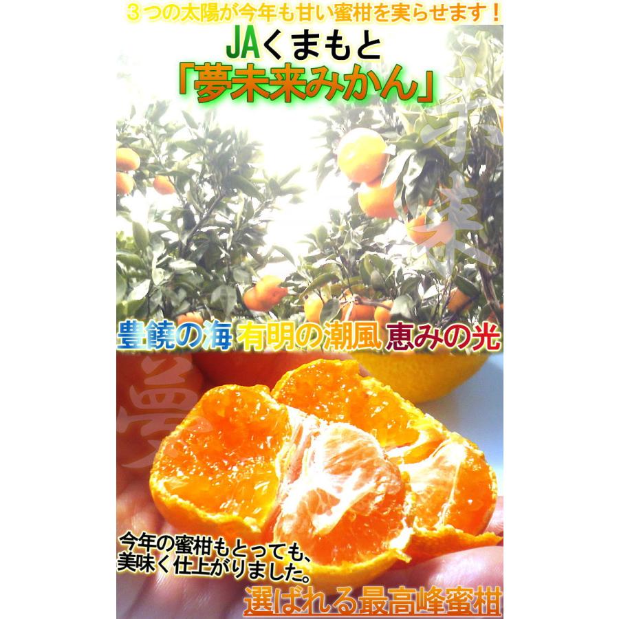 夢未来みかん 極早生ミカン 約5kg 2S〜Lサイズ 熊本県産 JA共撰品 グリーン蜜柑の本場で育てた爽やかな甘さと風味！ : 産地から玄関へ - 通販 - Yahoo!ショッピング