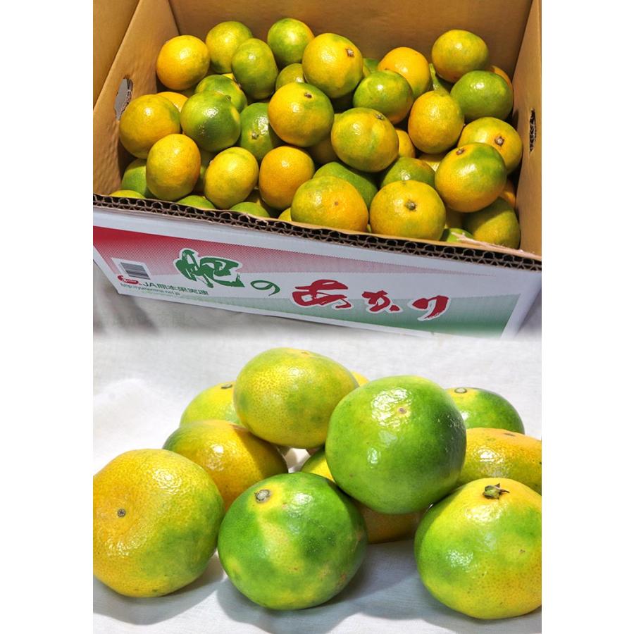 夢未来みかん 極早生ミカン 約5kg 2S〜Lサイズ 熊本県産 JA共撰品 グリーン蜜柑の本場で育てた爽やかな甘さと風味！ : 産地から玄関へ - 通販 - Yahoo!ショッピング