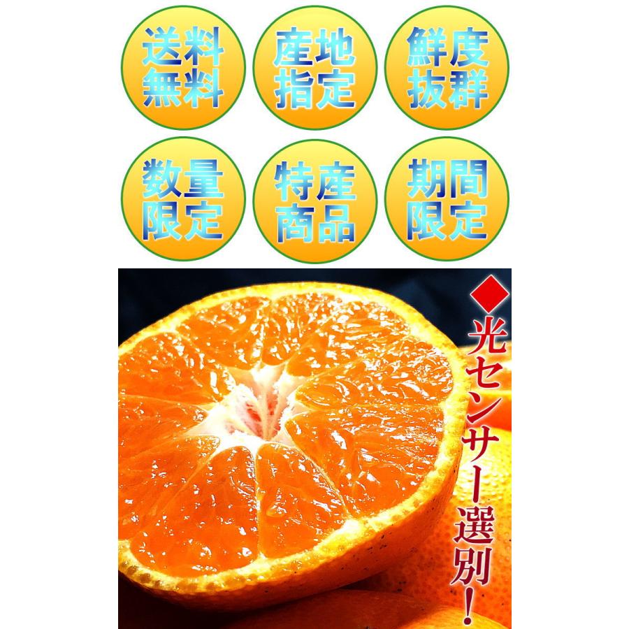 夢未来みかん 極早生ミカン 約5kg 2S〜Lサイズ 熊本県産 JA共撰品 グリーン蜜柑の本場で育てた爽やかな甘さと風味！ : 産地から玄関へ - 通販 - Yahoo!ショッピング