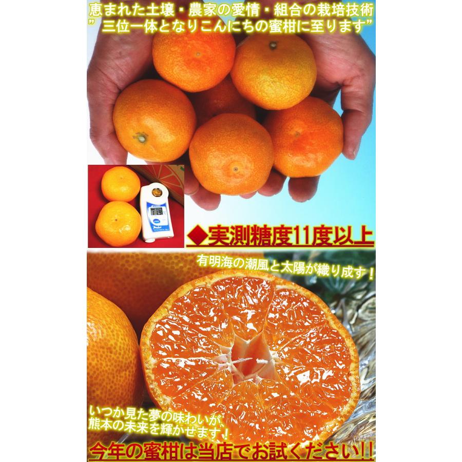 夢未来みかん 極早生ミカン 約5kg 2S〜Lサイズ 熊本県産 JA共撰品 グリーン蜜柑の本場で育てた爽やかな甘さと風味！ : 産地から玄関へ - 通販 - Yahoo!ショッピング
