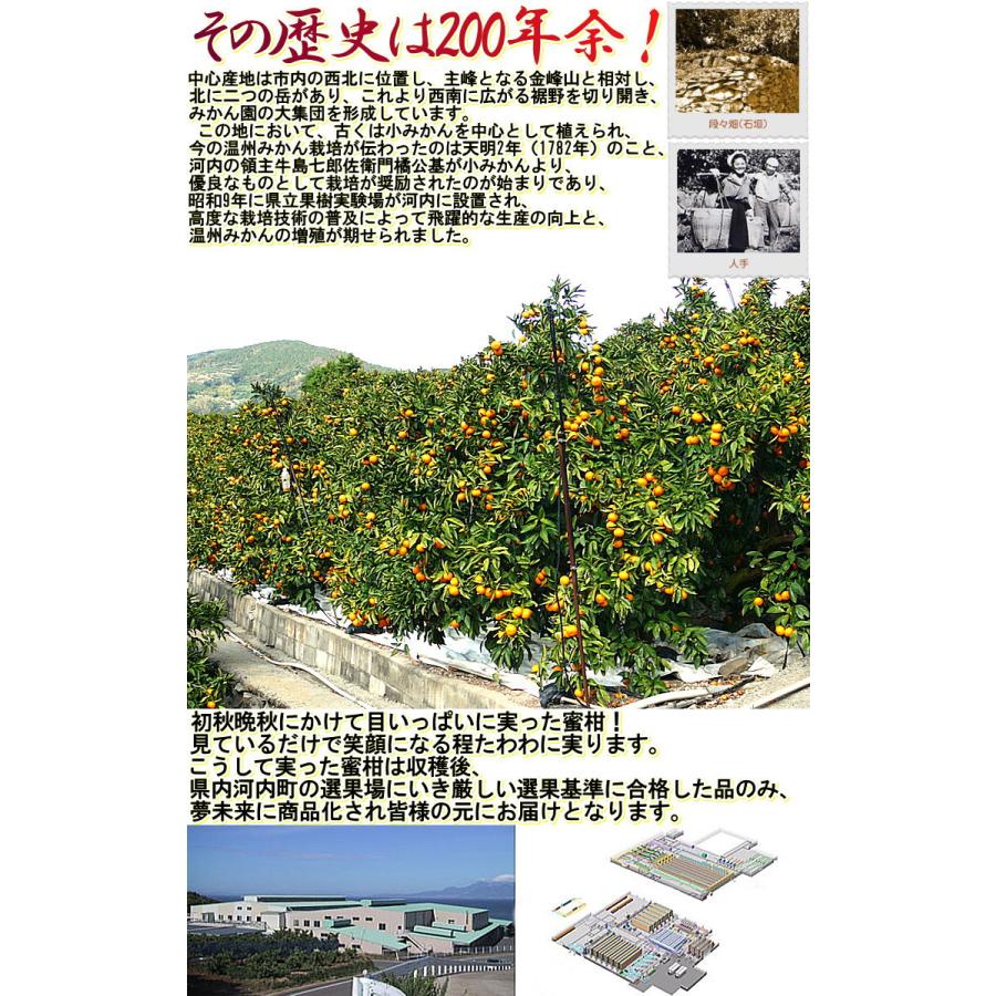 夢未来みかん 極早生ミカン 約5kg 2S〜Lサイズ 熊本県産 JA共撰品 グリーン蜜柑の本場で育てた爽やかな甘さと風味！ : 産地から玄関へ - 通販 - Yahoo!ショッピング