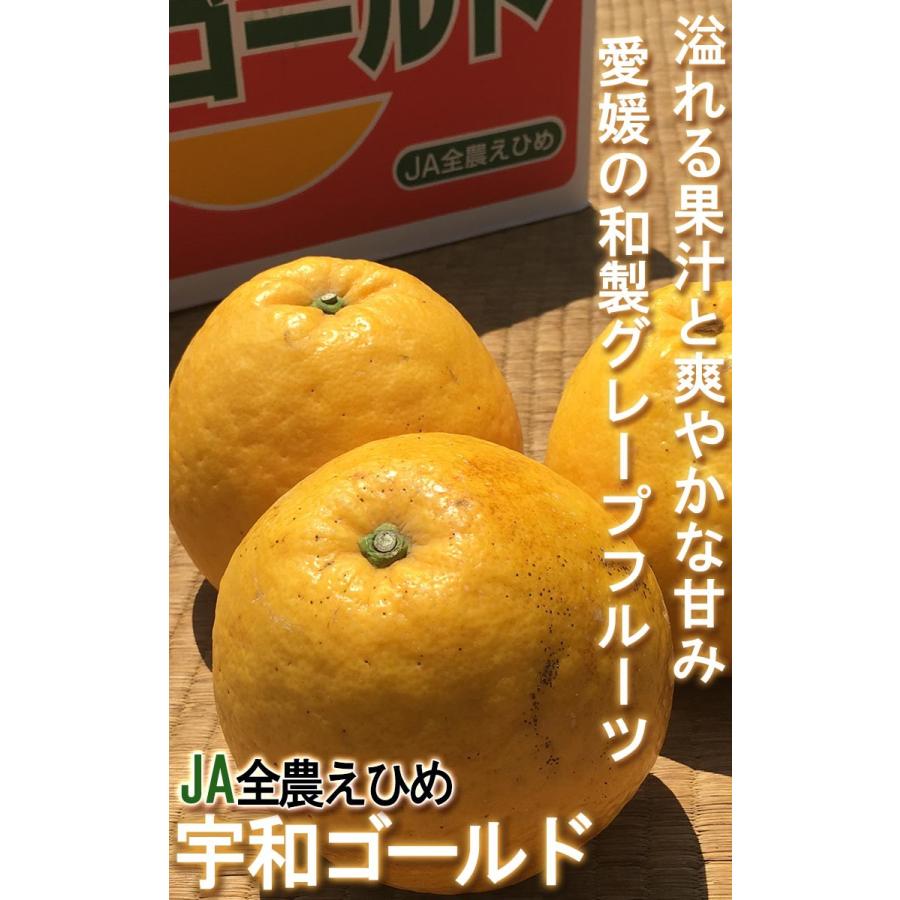 宇和ゴールド 河内晩柑 約2kg M〜3Lサイズ 愛媛県産 秀品〜優品 豊富な果汁を湛えた和製グレープフルーツ！ : 産地から玄関へ - 通販 - Yahoo!ショッピング