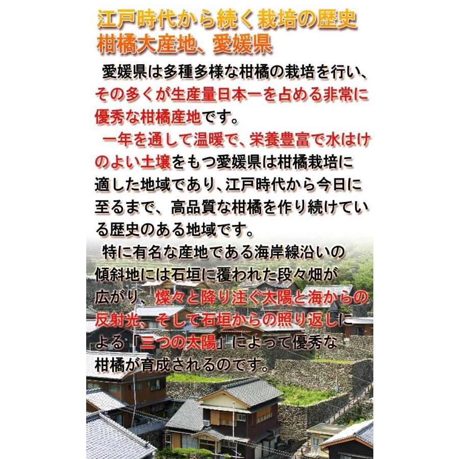 宇和ゴールド 河内晩柑 約2kg M〜3Lサイズ 愛媛県産 秀品〜優品 豊富な果汁を湛えた和製グレープフルーツ！ : 産地から玄関へ - 通販 - Yahoo!ショッピング