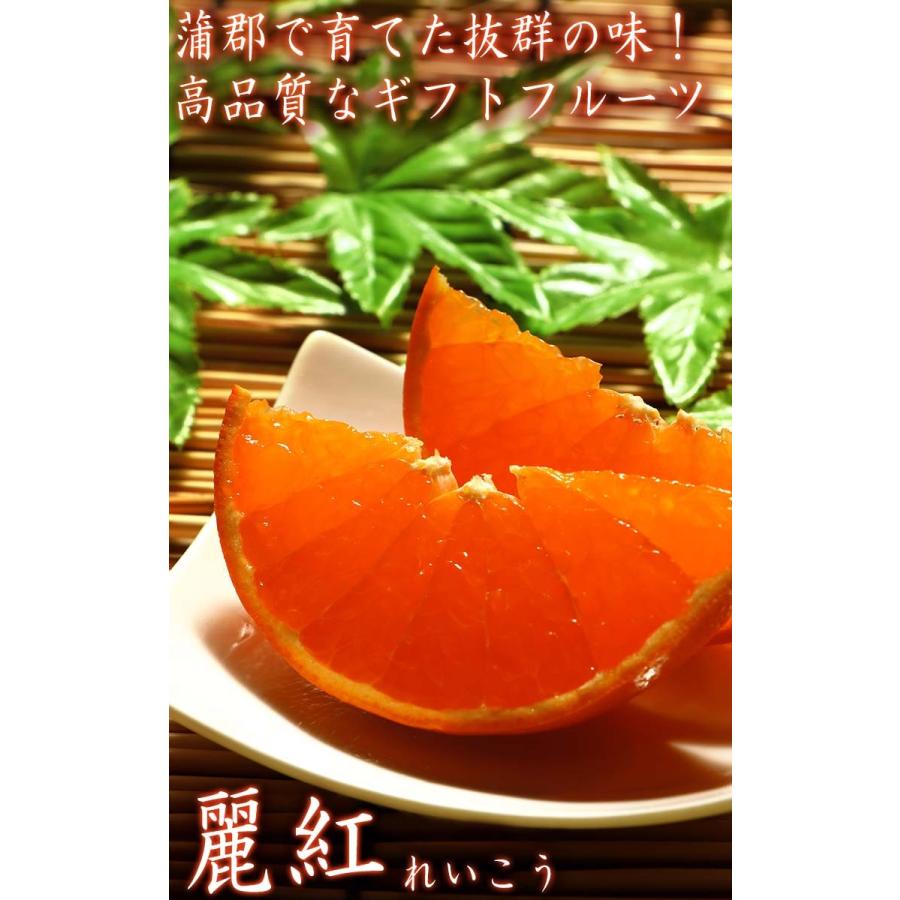 蒲郡れいこう 麗紅タンゴール 約5kg M〜2Lサイズ 愛知県産 贈答規格 JA蒲郡市にて厳選した高級柑橘！高い糖度と美しい果皮のギフトフルーツ : 産地から玄関へ - 通販 - Yahoo ...