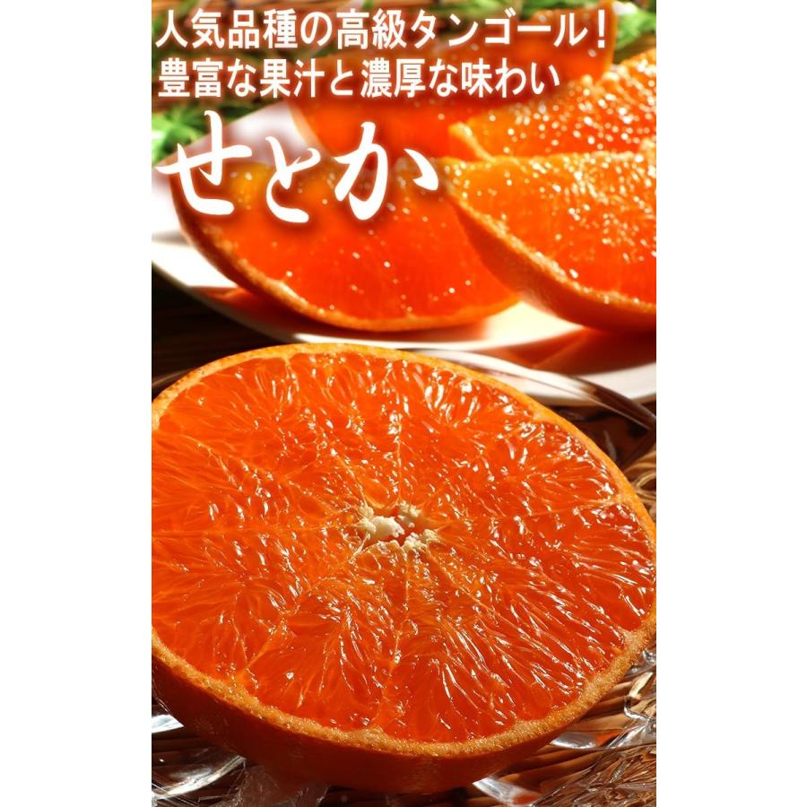 愛媛産 せとか 約2kg 4〜6玉 2L〜4Lサイズ 大玉中心 秀品 フルーツ 果物 くだもの 果実 青果 食品 箱買い 蜜柑 温州みかん 柑橘類 かんきつ デザート 冬ギフト : 産地から ...